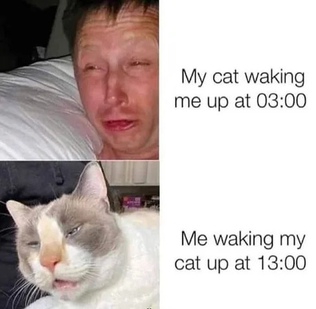 The Latest Memes :) Memedroid