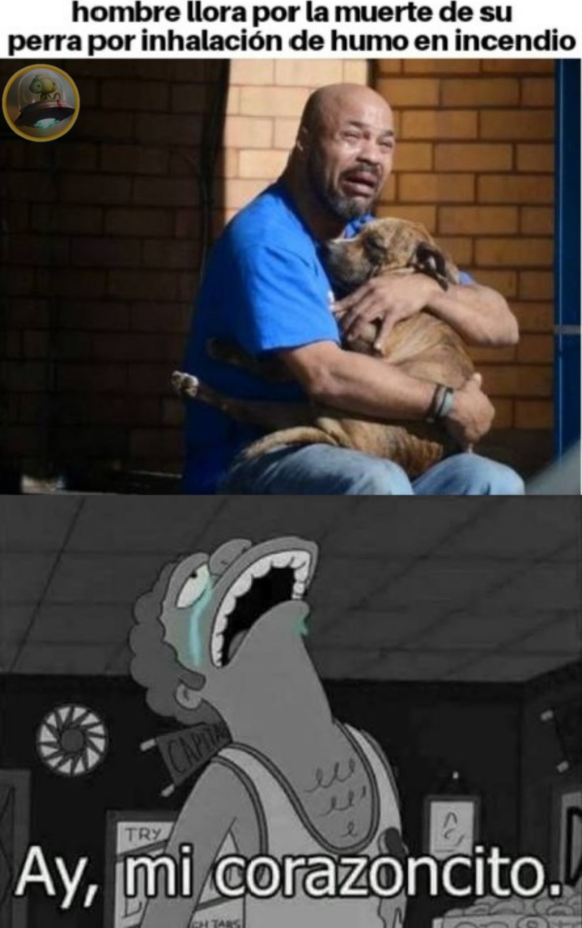 Ay ;( - Meme subido por 123dominico :) Memedroid