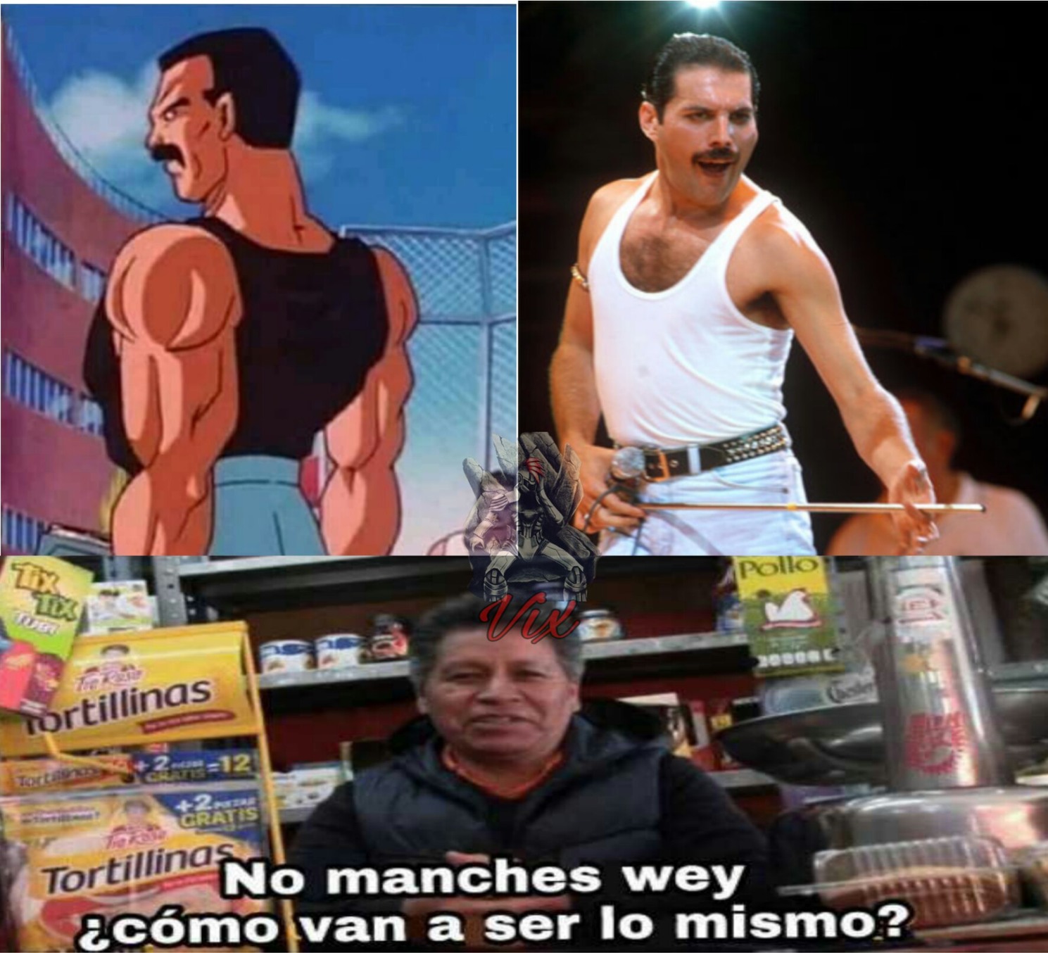 El Freddie mercurio - Meme subido por VixProGamer :) Memedroid