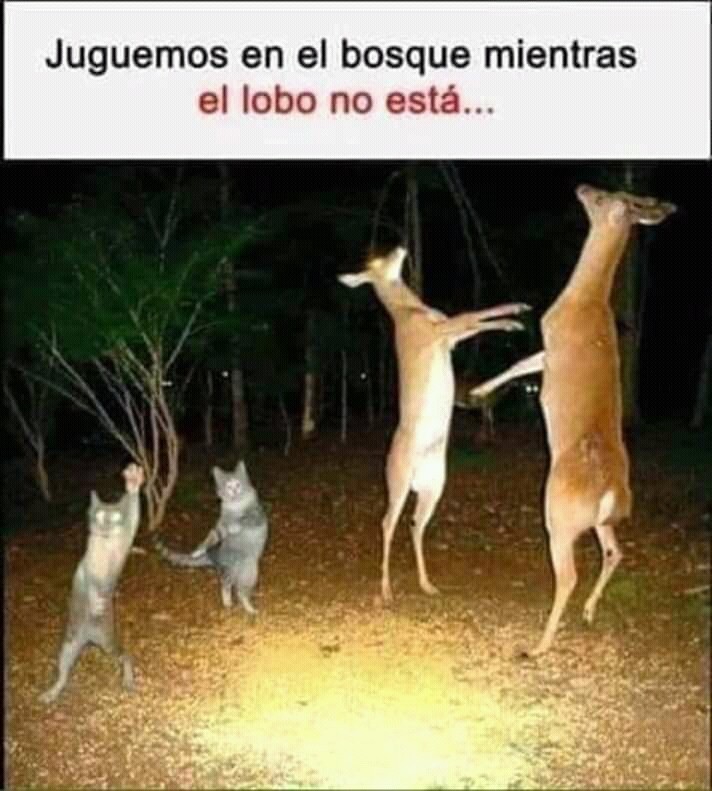 Regrese - Meme subido por McCormick :) Memedroid