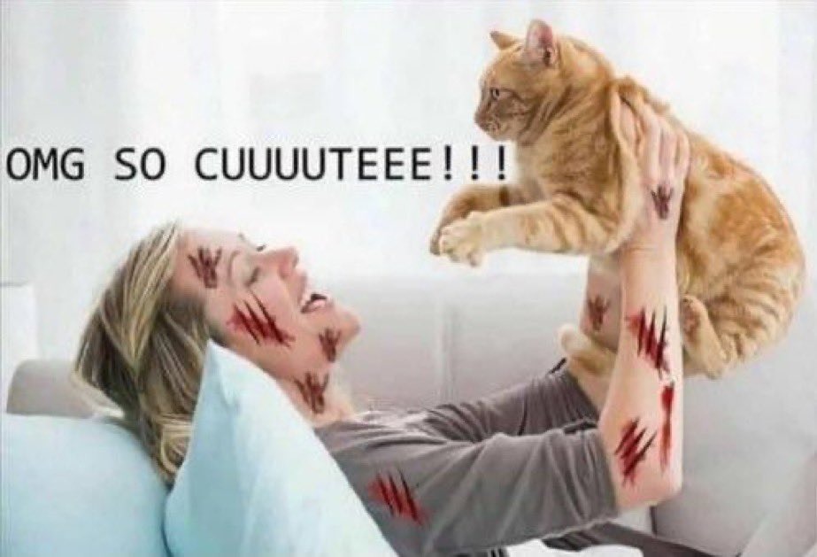 Soooo Cute Memes 100 Best 'I Love You' Memes That Are Cute, Funny