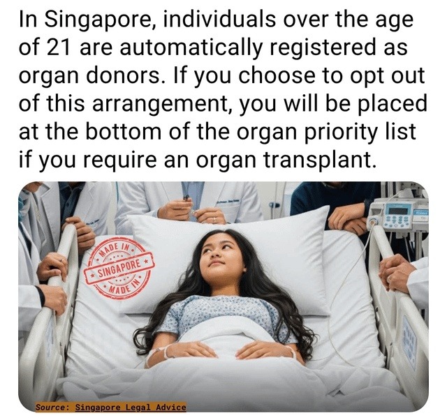 The best Singapore memes :) Memedroid