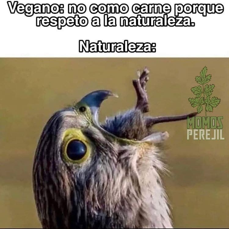 Memes Sobre La Naturaleza Prozine La Naturaleza De Los Memes By