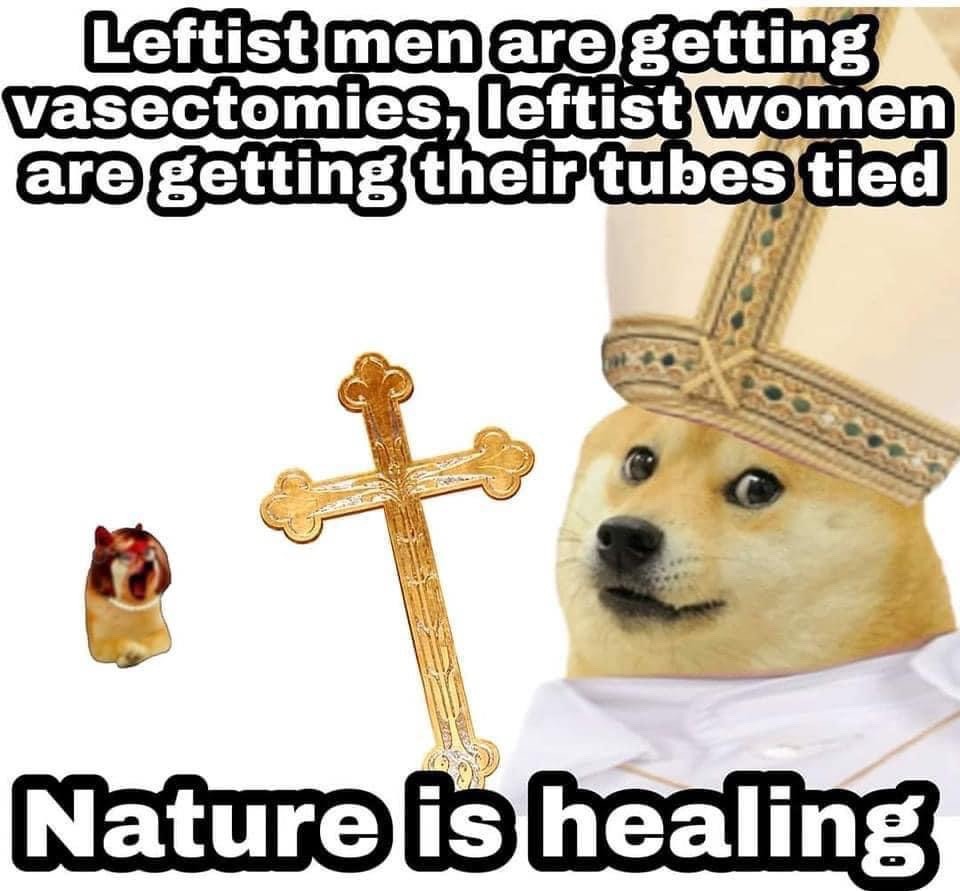 Christianity will outbreed the pagan nations within one generation ...