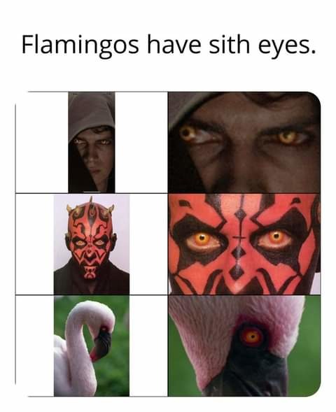 Wow thats very interesting... - Meme by dZzZ_nUtTz :) Memedroid Wow thats very interesting... - Meme by dZzZ_nUtTz :) Memedroid