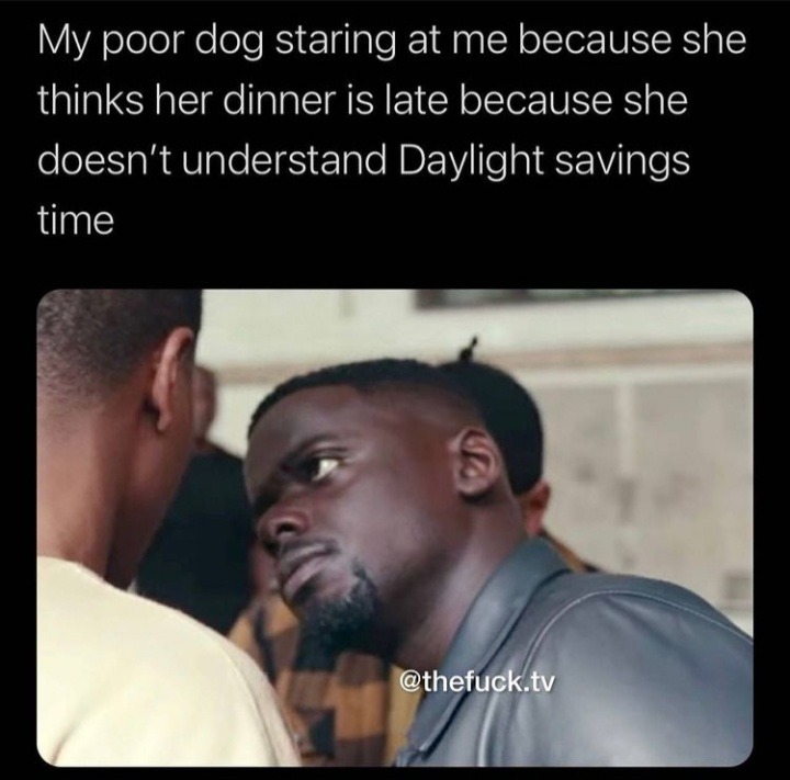 Late To Text Back Meme