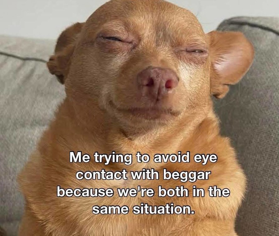 The best Beggar memes :) Memedroid