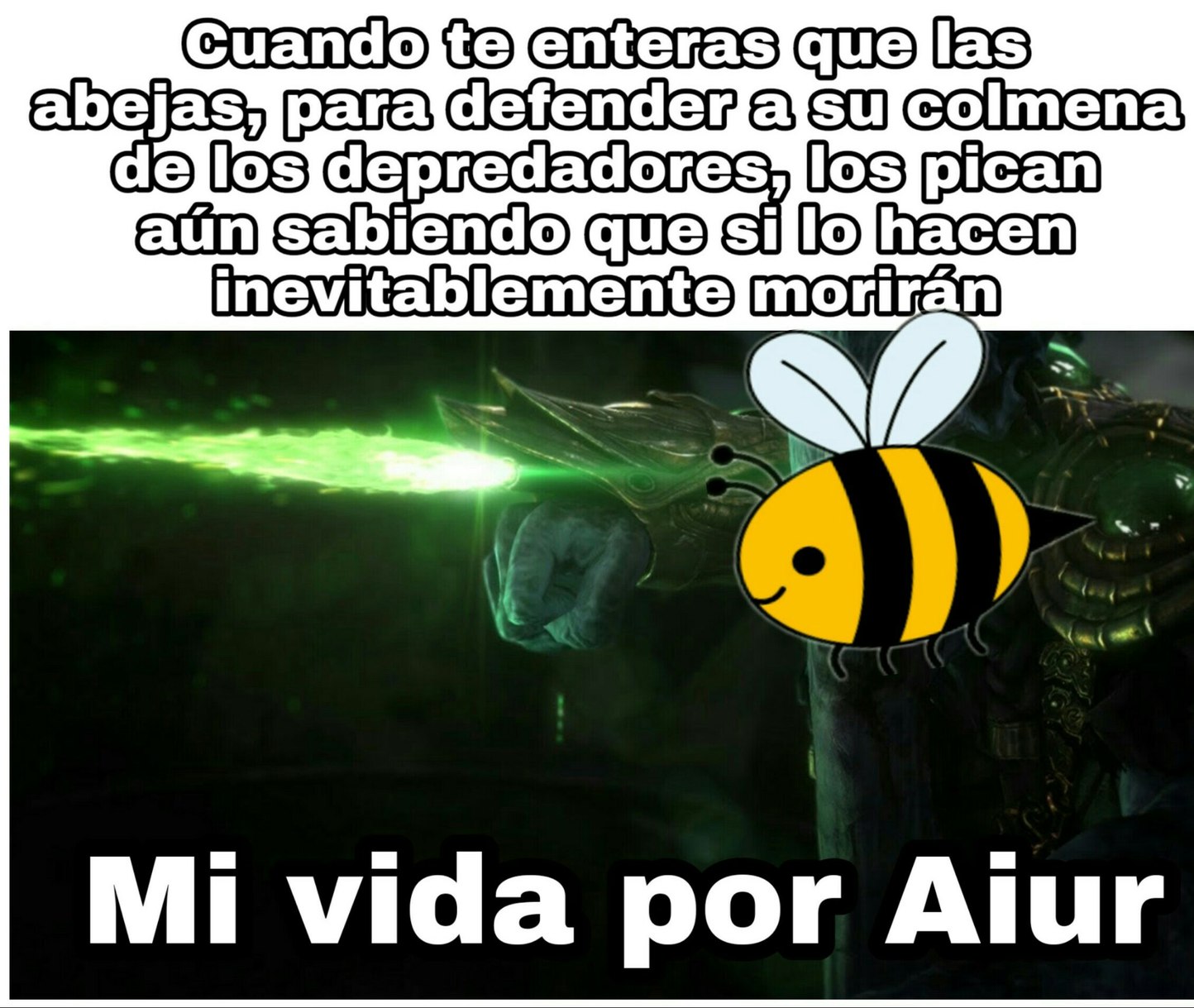 Memes De Las Abejas Meme Filosoraptor Que Pasa Si Matas A Una Abeja