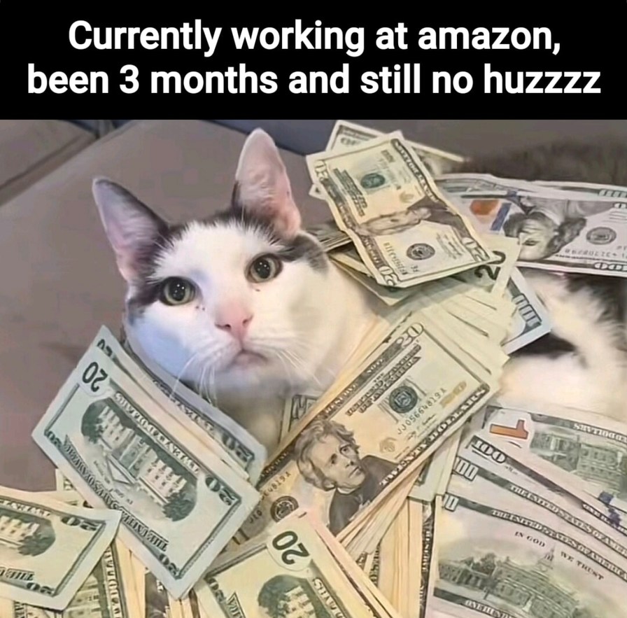 The best Amazon memes :) Memedroid