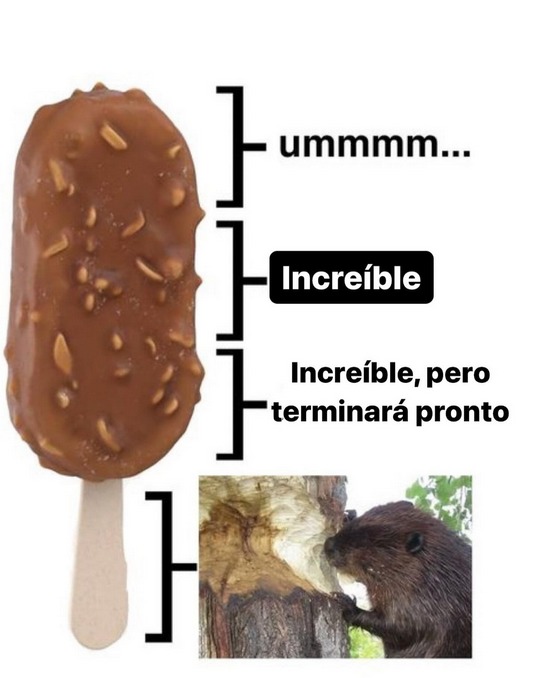 Memes Un Castor ¿Cuál Es El Verdadero Origen Y Qué Dice En Español