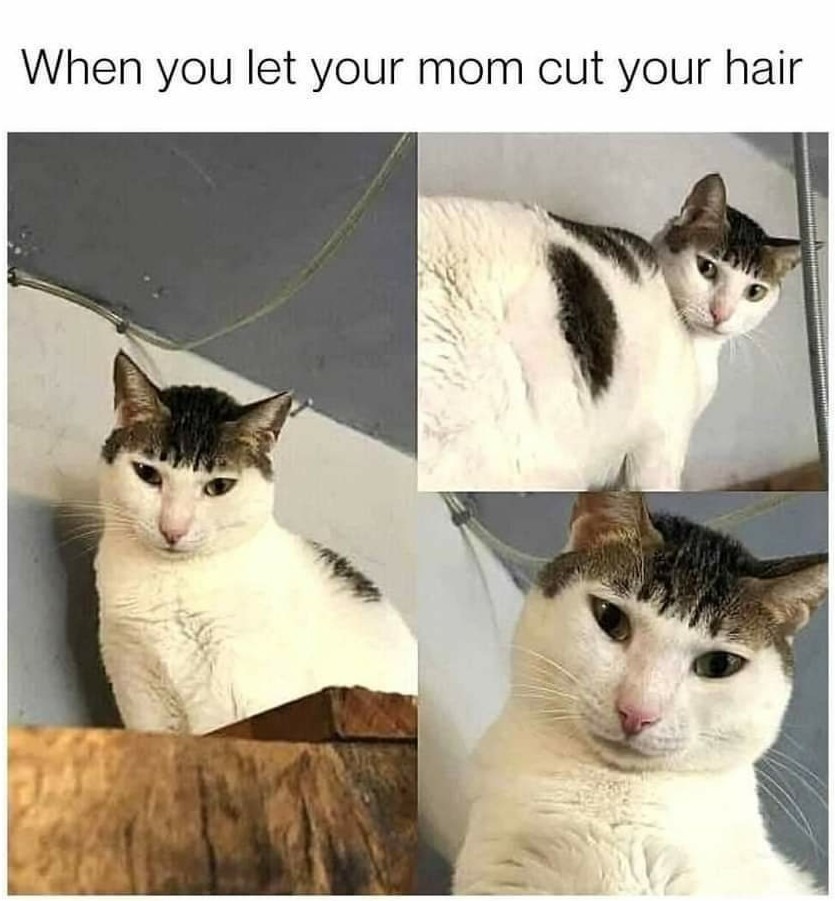 And she'll call you a handsome boy - Meme by audilover23 :) Memedroid