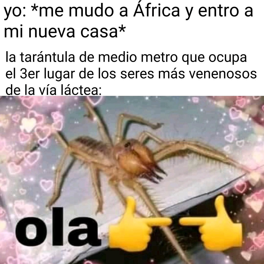 ola - Meme subido por Rpy._ :) Memedroid