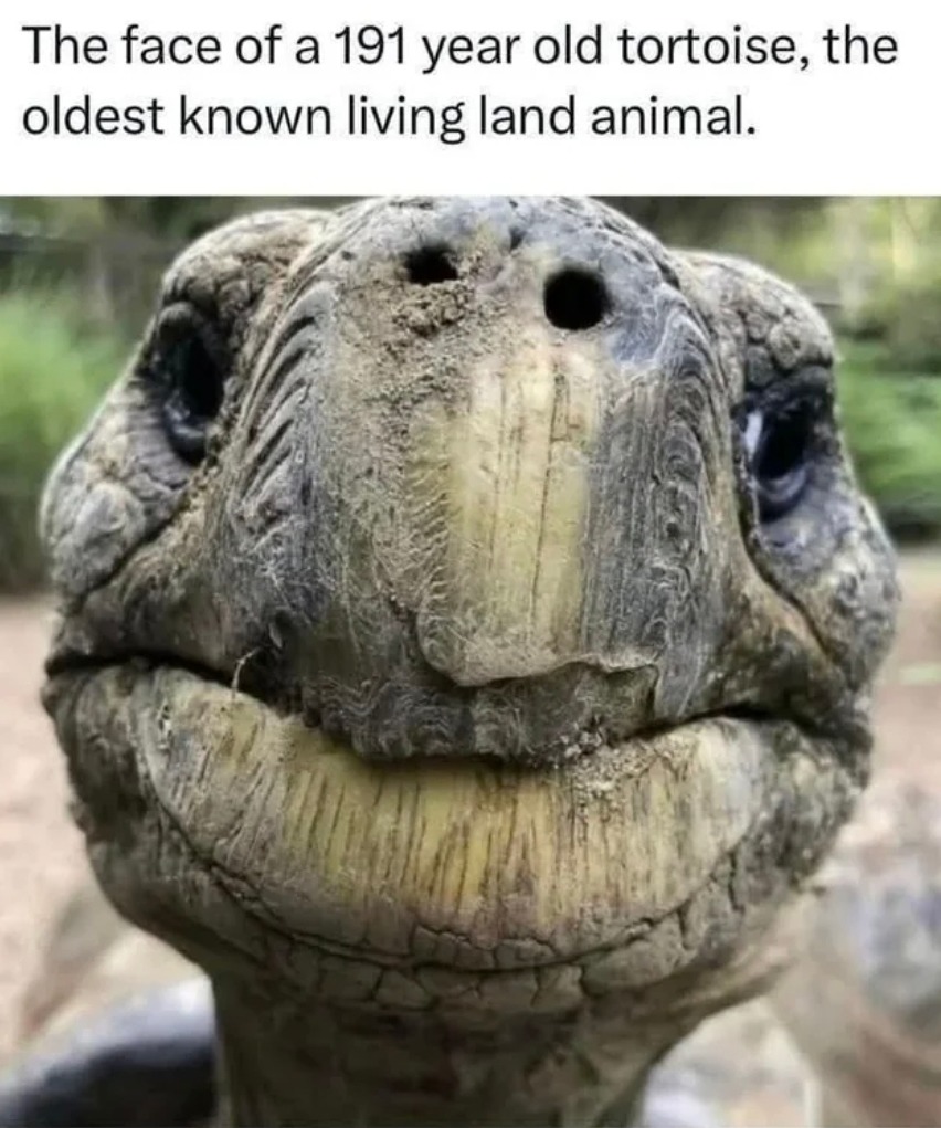 The best Nature memes :) Memedroid