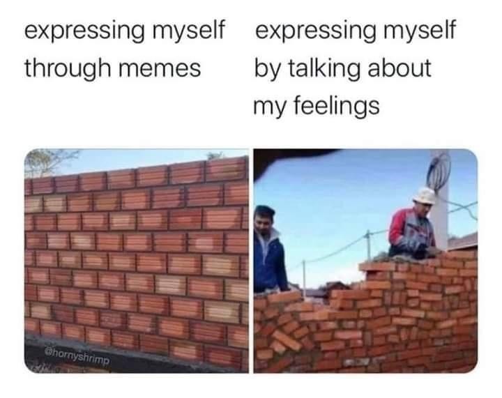 expressing myself through memes - Meme by FuzzyGrim :) Memedroid