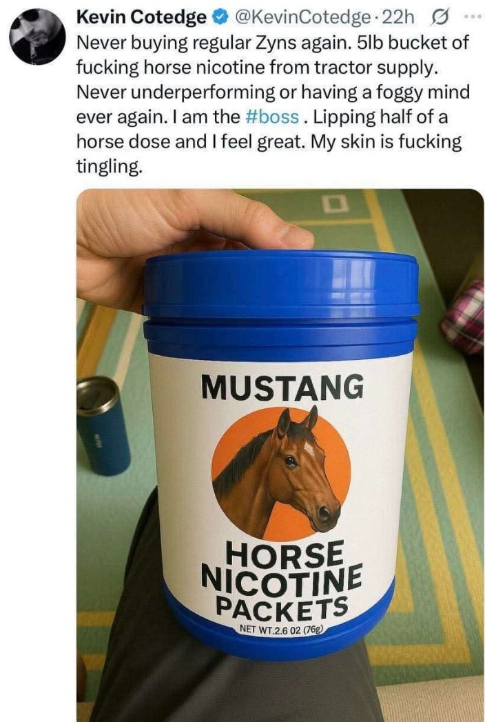 Mustang Tarraing Meme Ford Mustangs | Not You / Tú No | Know Your