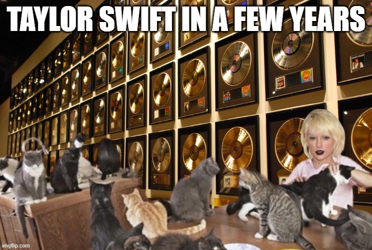 Cat Grumpy Meme Taylor Swift
