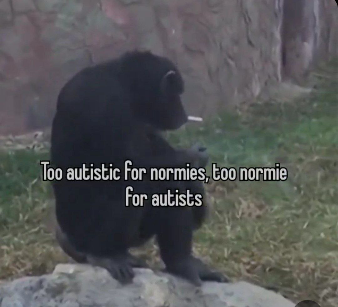 The best Identity memes :) Memedroid