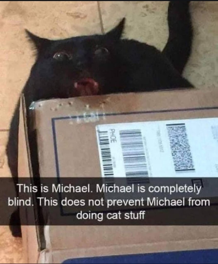 The best Useful memes :) Memedroid