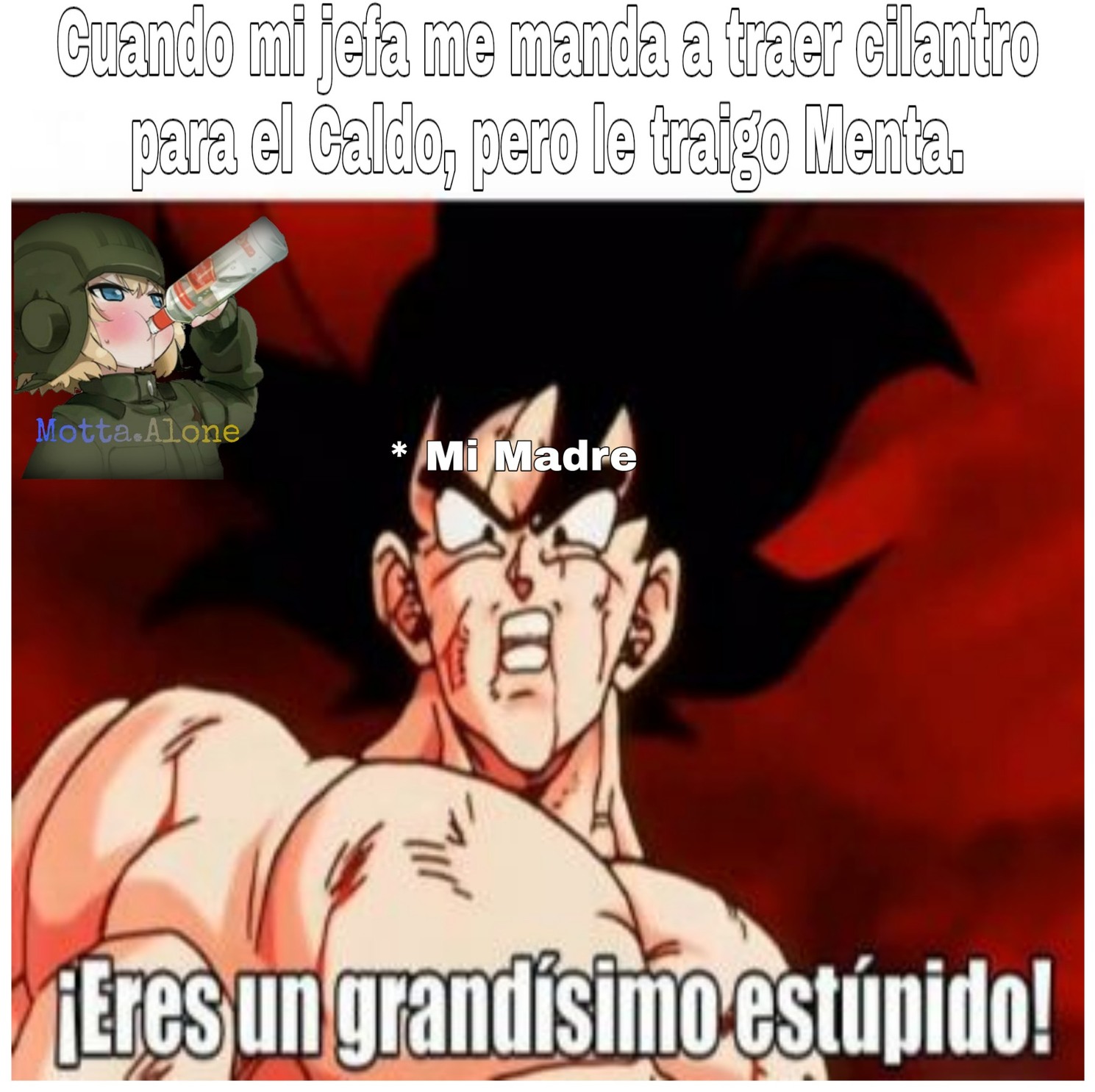 Memes De Kokum