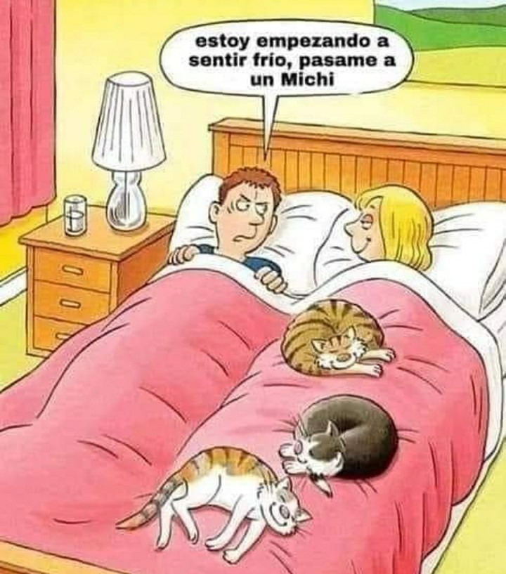 Mishi - Meme subido por richy1313 :) Memedroid