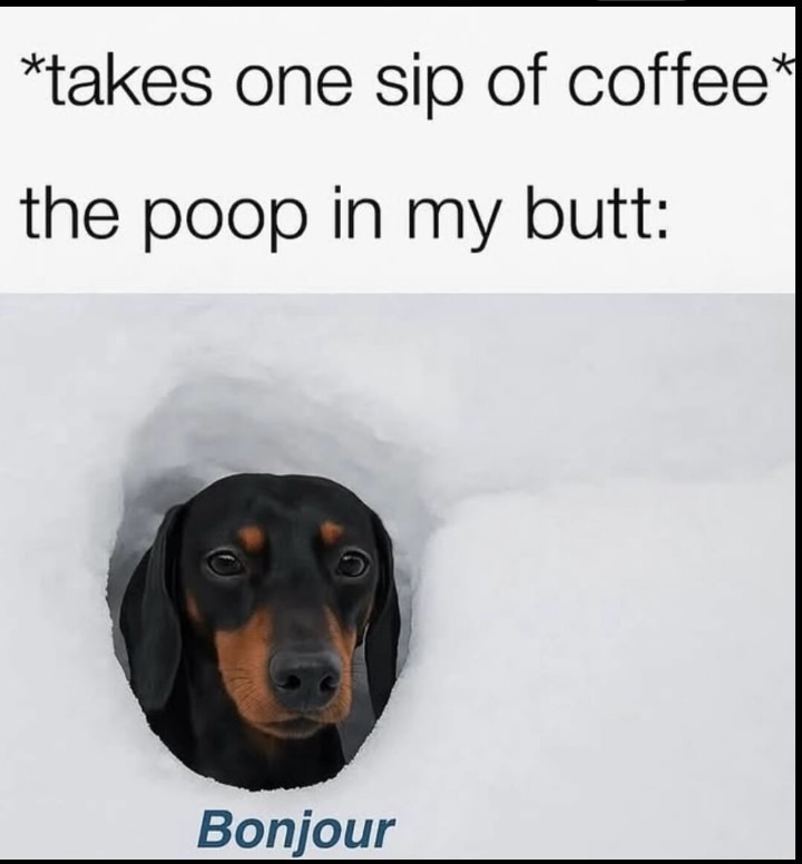 The best Bonjour memes :) Memedroid