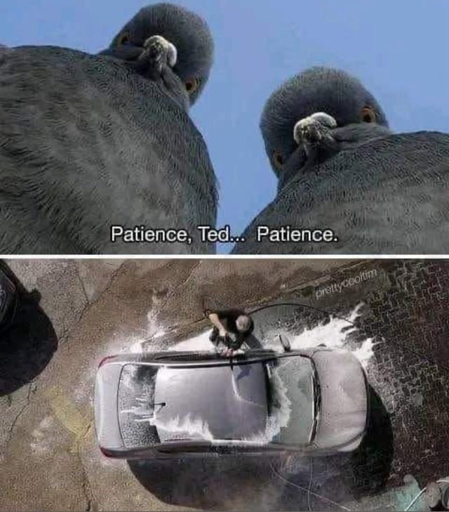 The best Patience memes :) Memedroid