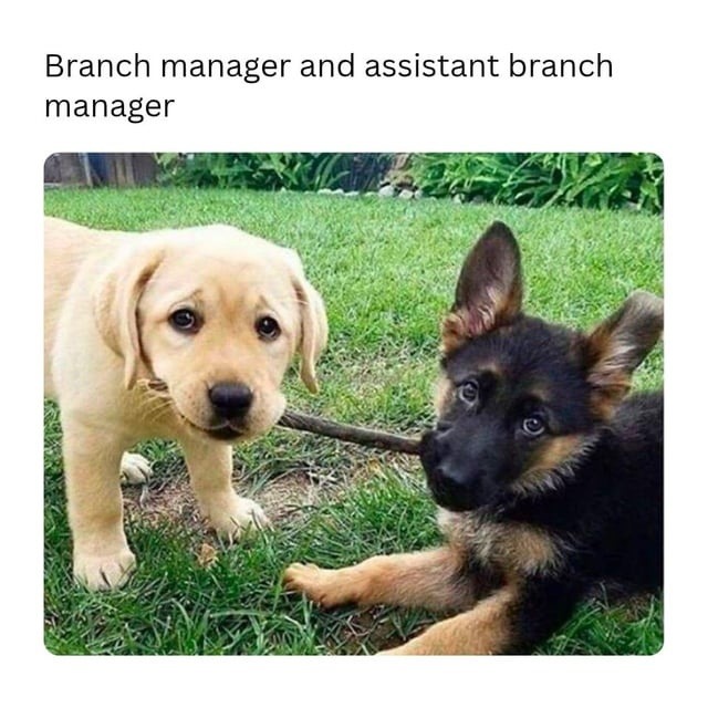 The best Tree memes :) Memedroid