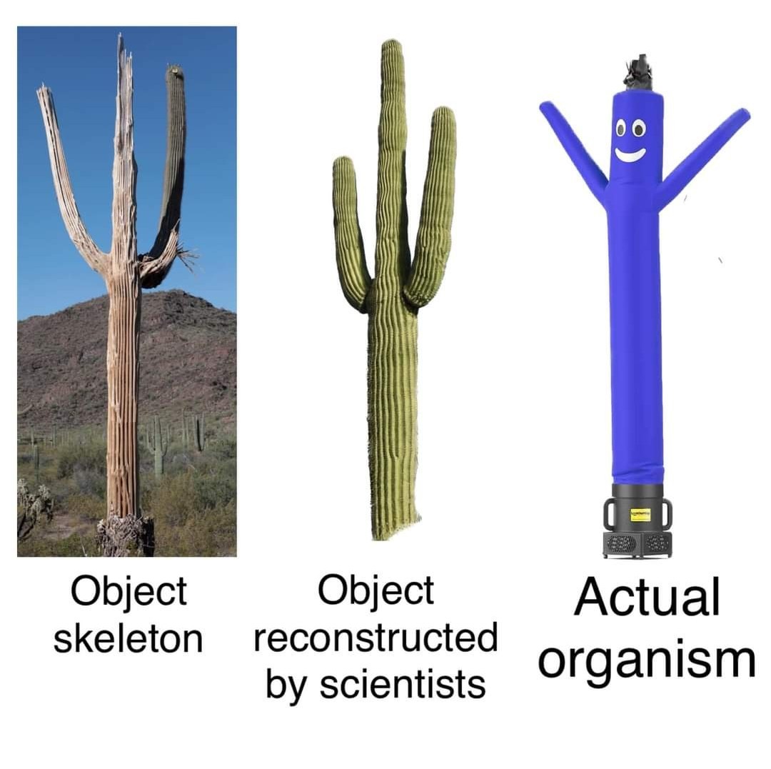 Latest memes / New memes :) Memedroid