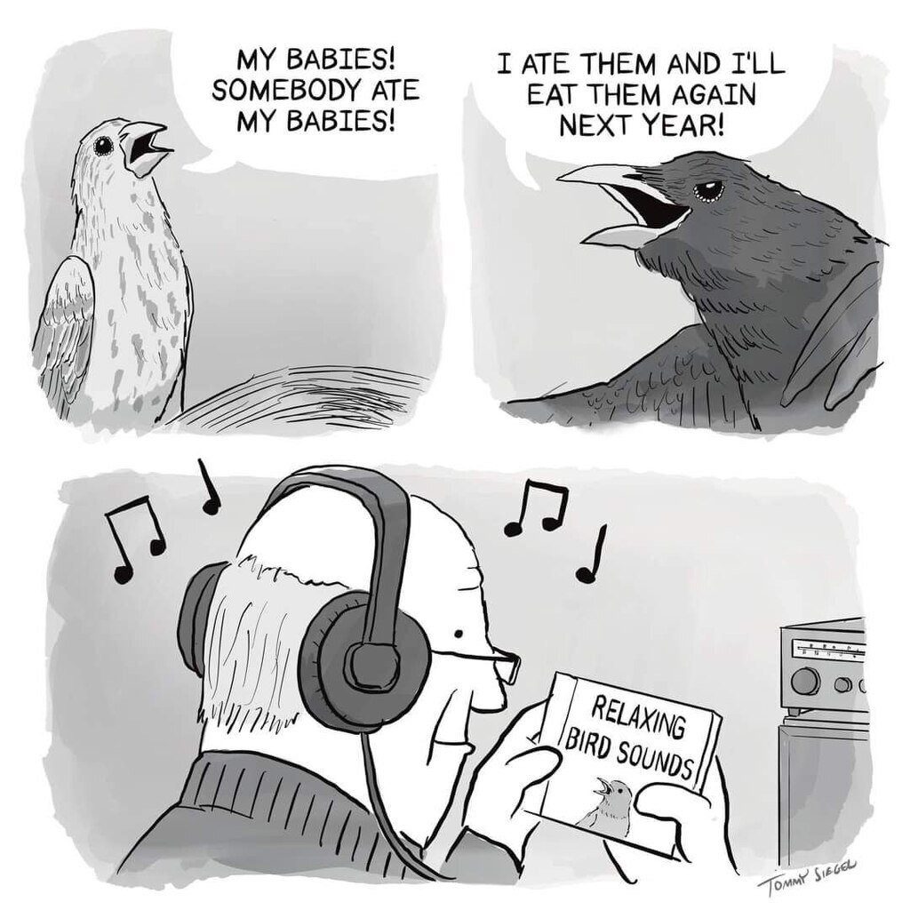 The Latest Memes :) Memedroid