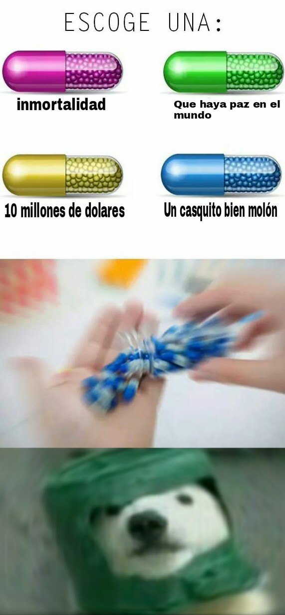 Creo que lo más sabio sería escoger el casquito - Meme subido por Rama ...