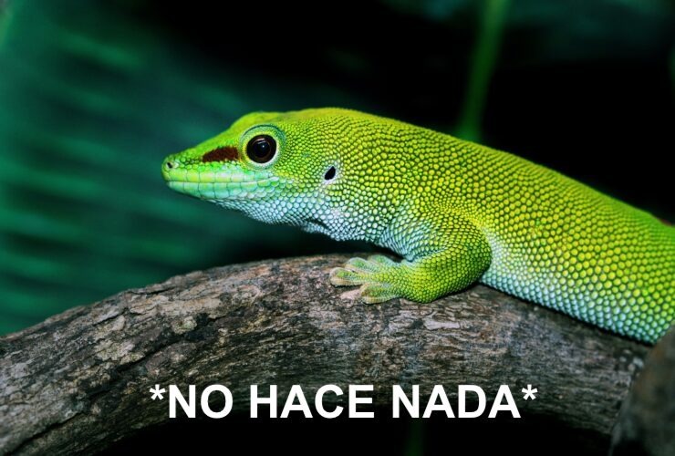 Angra-Mainyu :) Memedroid