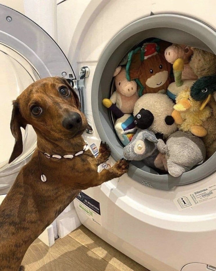 Nooooooo - Meme by bletchley :) Memedroid