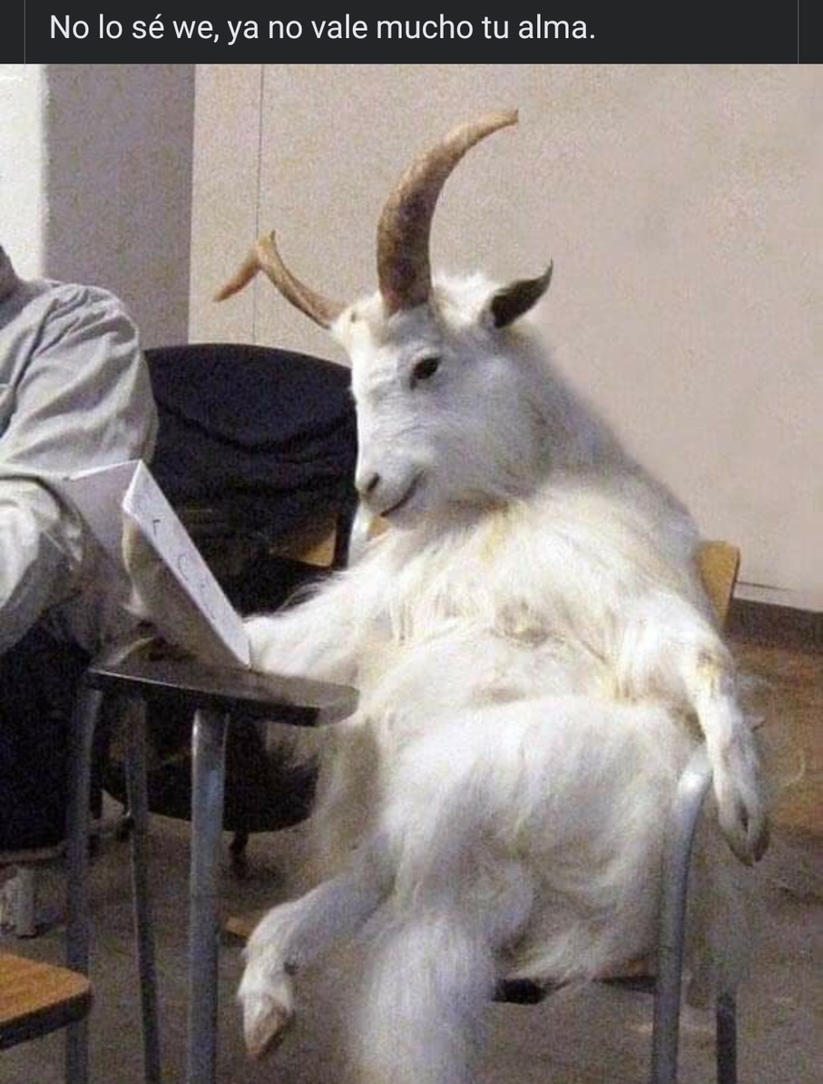 Es porque eres furro - Meme subido por Kaleno87 :) Memedroid