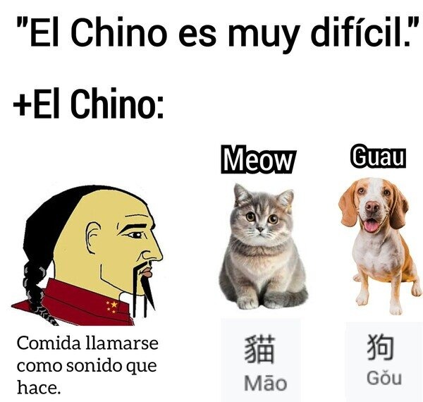 Top memes de Chinos en español :) Memedroid