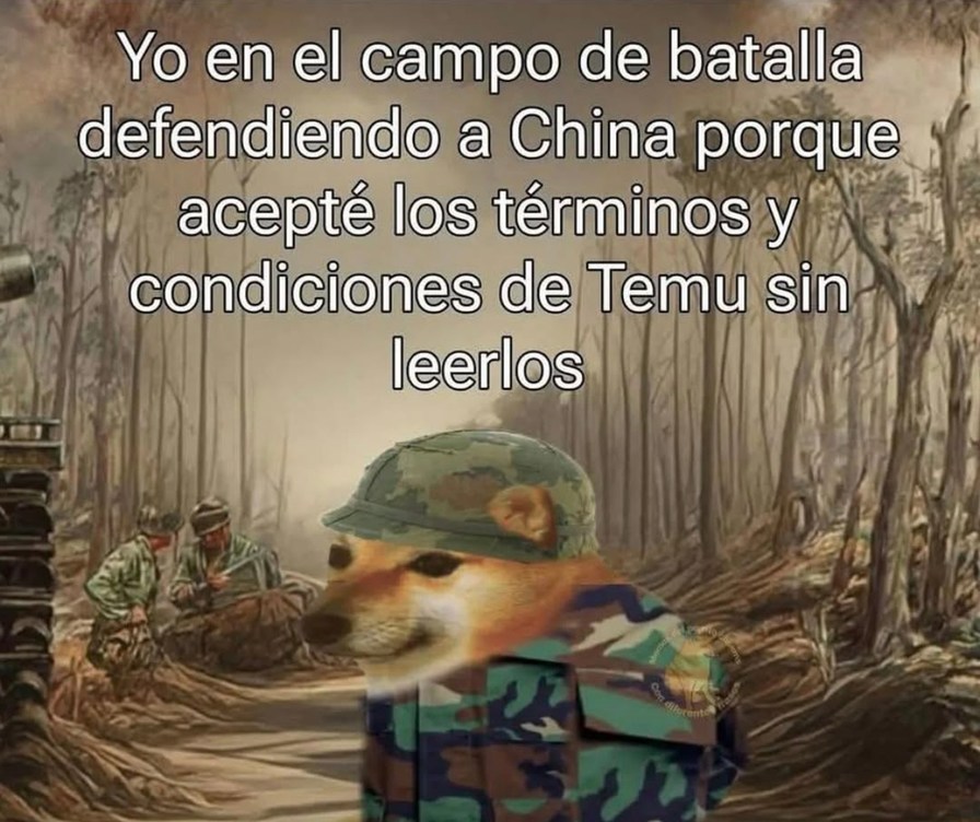 Top memes de Temu en español :) Memedroid