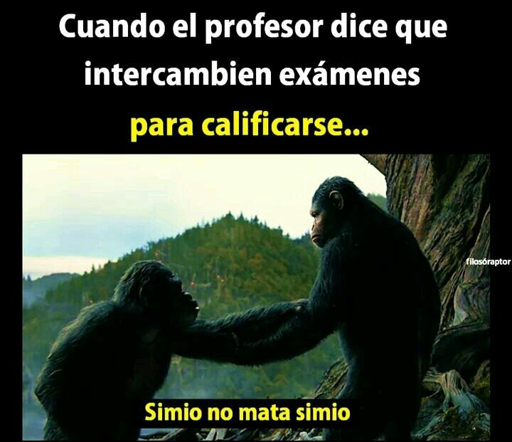 Es de simios - Meme by Fer_129-000 :) Memedroid