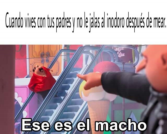 El macho - Meme subido por Frijoli20 :) Memedroid