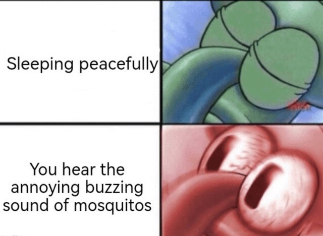 The best Mosquito memes :) Memedroid