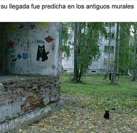 Re100 copiado - Meme subido por Tumadt :) Memedroid