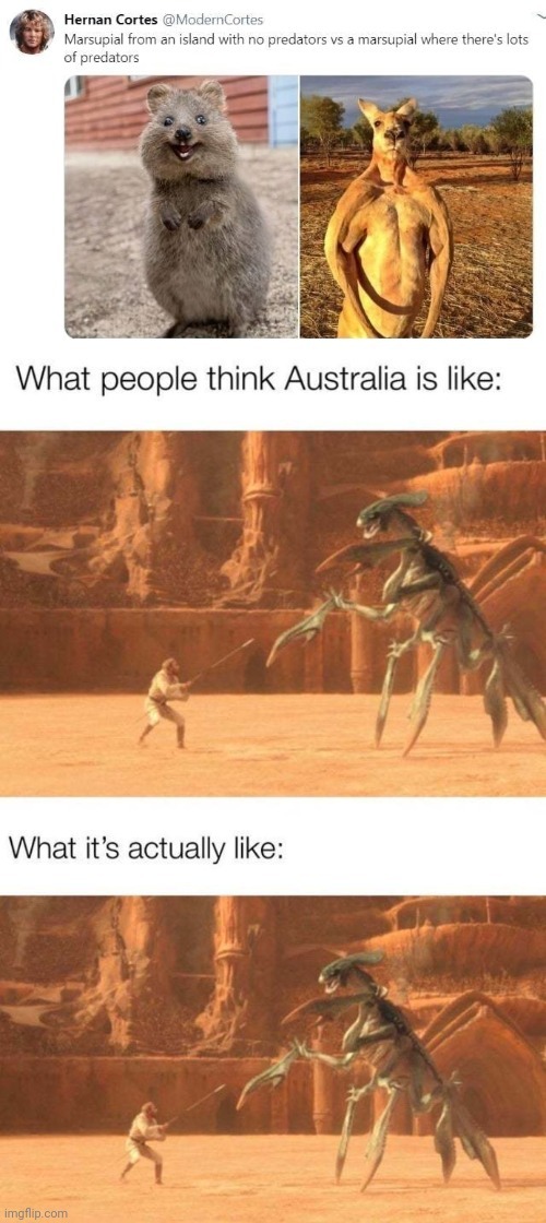 Awimbawe..... Awimbawe...... Awimbawe..... - Meme subido por Dildonator ...