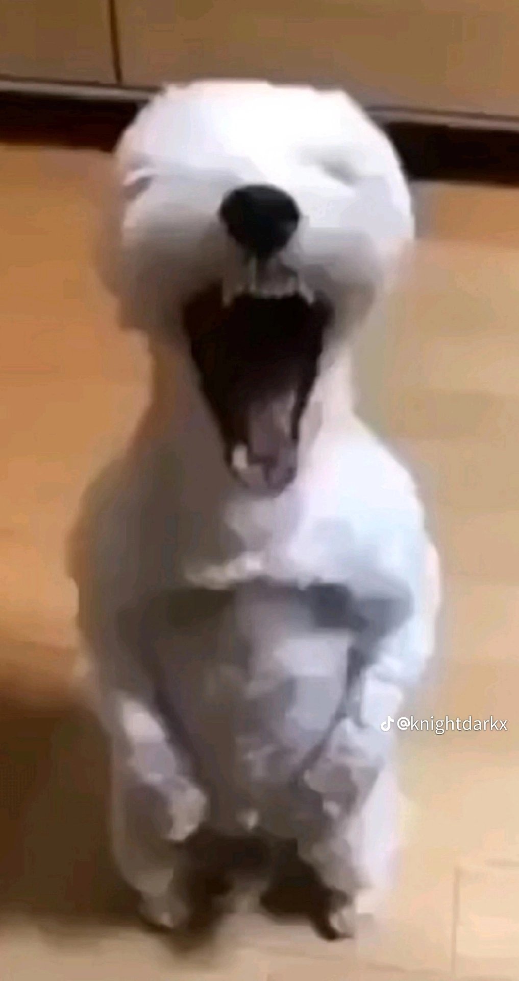 La cara de perro wazaa revelada - Meme subido por Vengodememasik.jpg ...