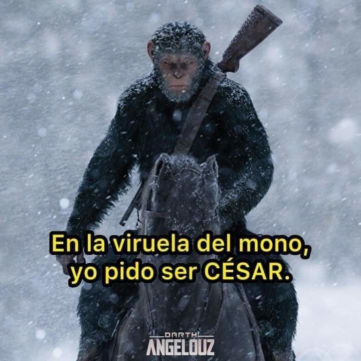 Los Últimos Memes :) Memedroid