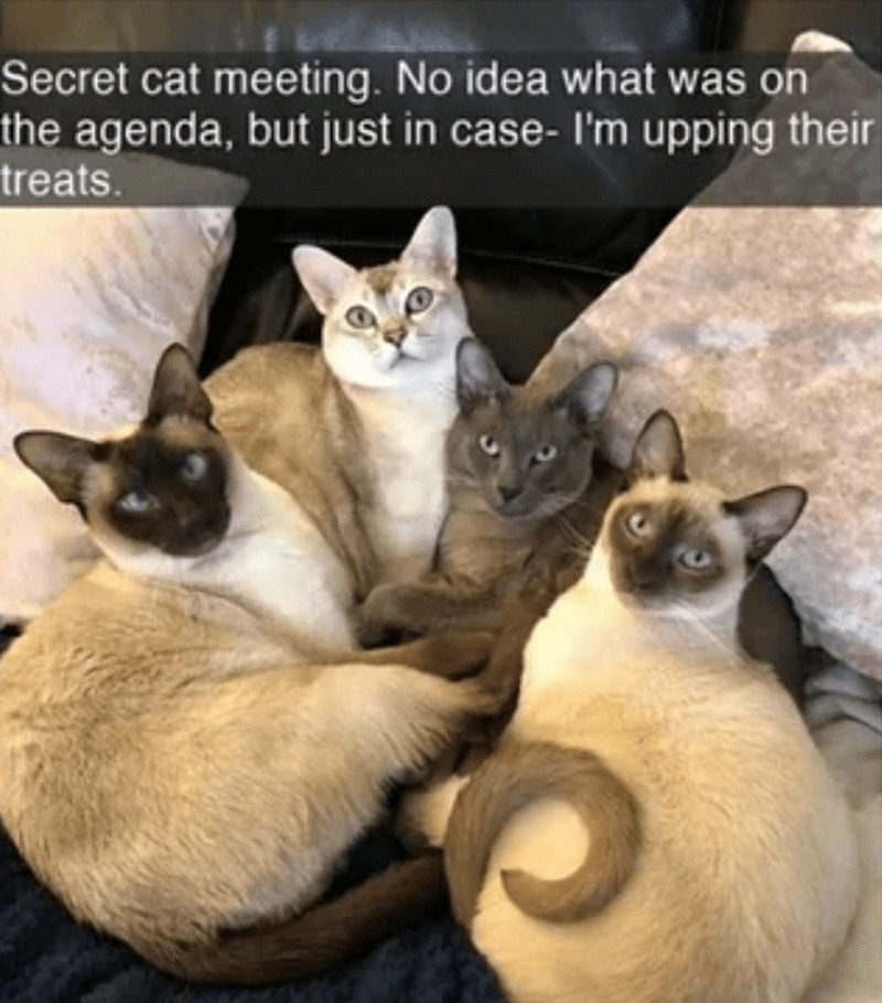 The best Meeting memes :) Memedroid