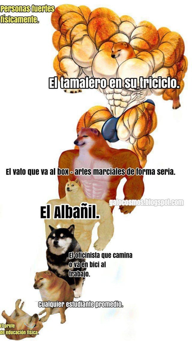 Niveles de poder físico - Meme by Contagiusuffer :) Memedroid