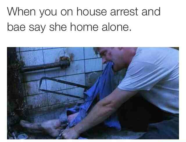 Always take a risk - Meme by FoxAssassin :) Memedroid