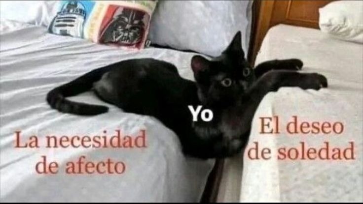 Los Últimos Memes :) Memedroid