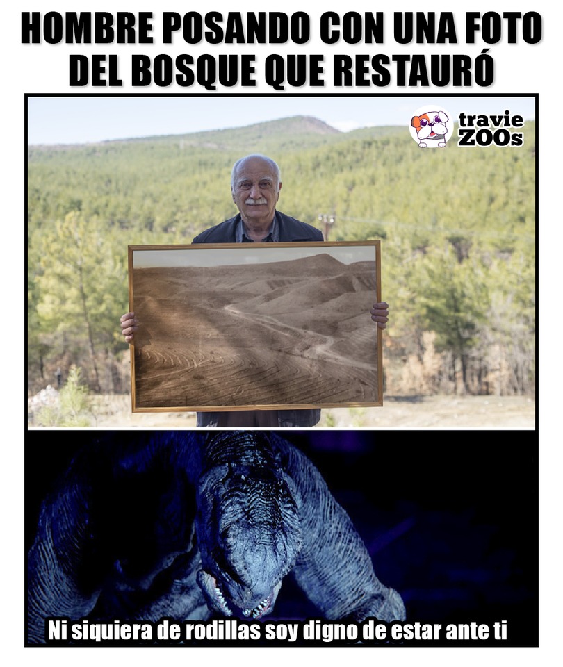 Top memes de basado en español :) Memedroid