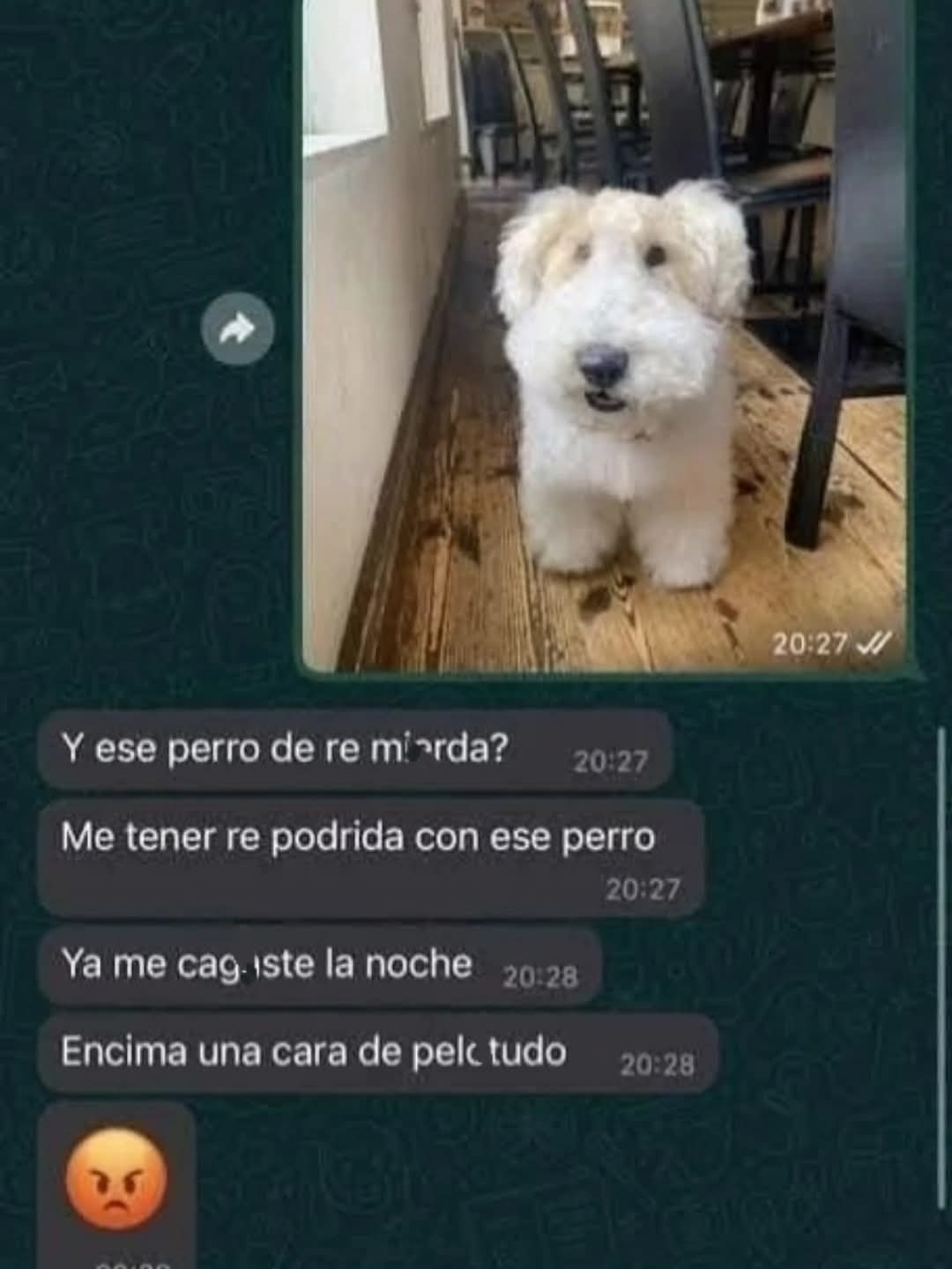 Top memes de Perros en español :) Memedroid