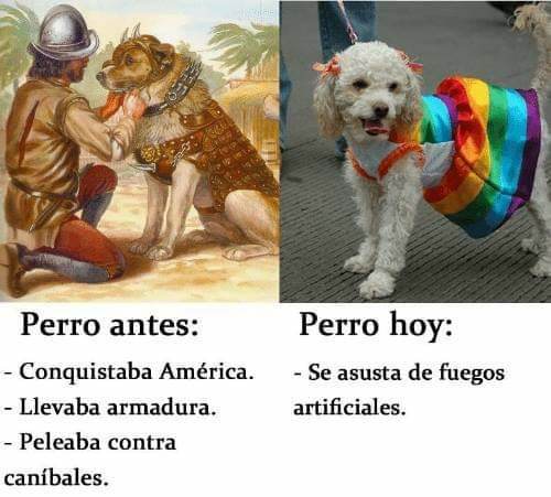 Perreo - Meme subido por elTxo :) Memedroid