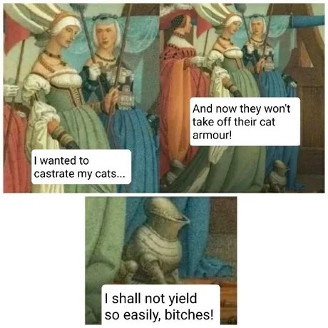 Cats armor - Meme subido por ZiggyStarburst :) Memedroid